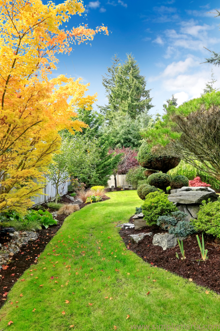 11 Amazing Small Backyard Ideas to Try Right Now - Simplymarla