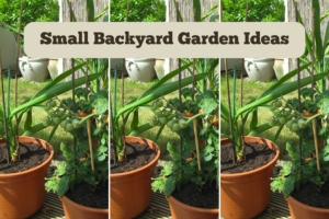 19 Space Saving Small Backyard Garden Ideas - Simplymarla