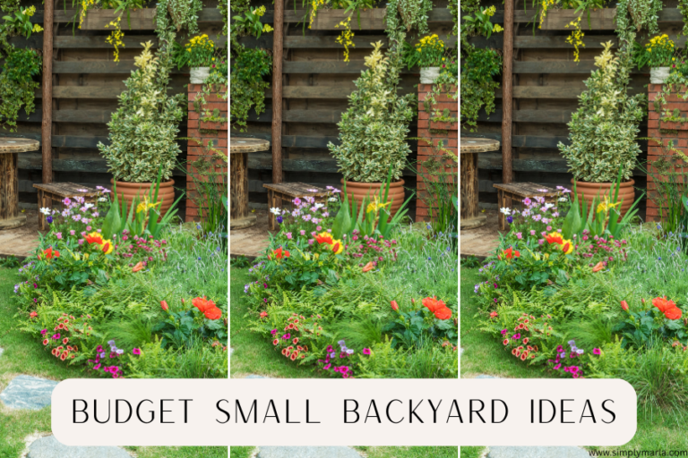 Budget Small Backyard Ideas That’ll Maximize Your Space - Simplymarla